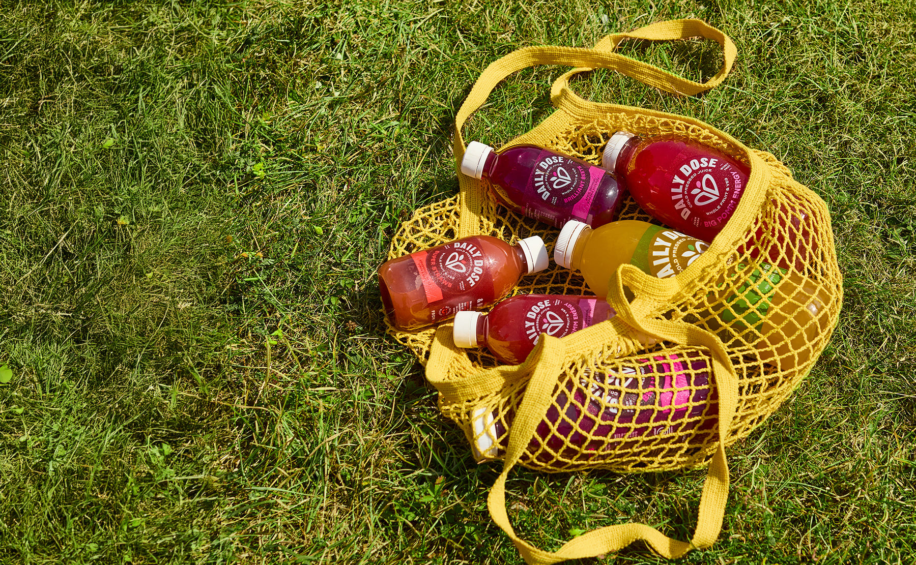 Daily Additions – Daily Dose