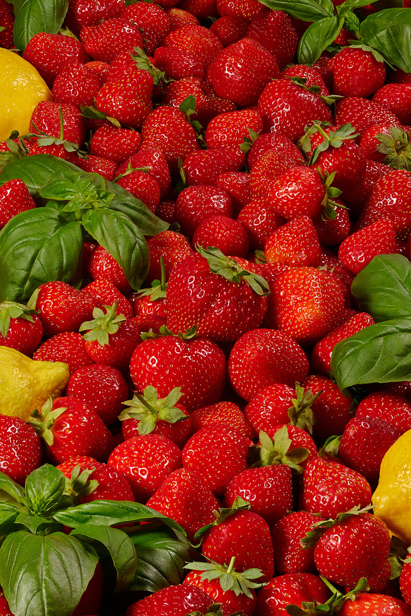 Red Berry Bundle | Cold Pressed Juice | Daily Dose